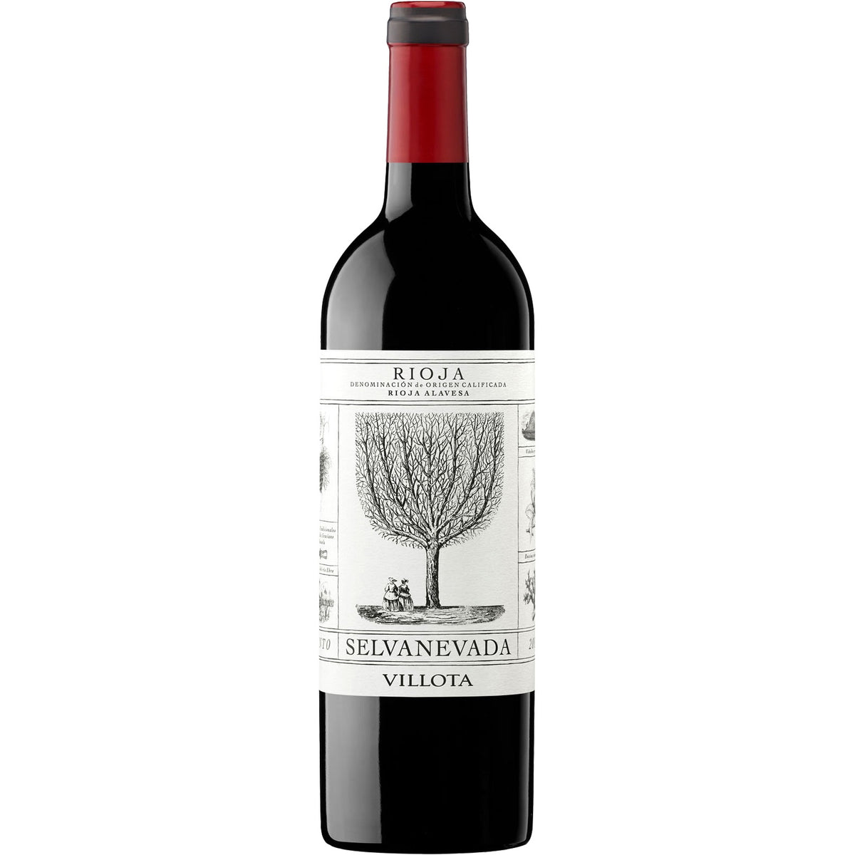 Vino Villota Selvanevada Rioja Tinto – Grain & Vine | Natural Wines ...